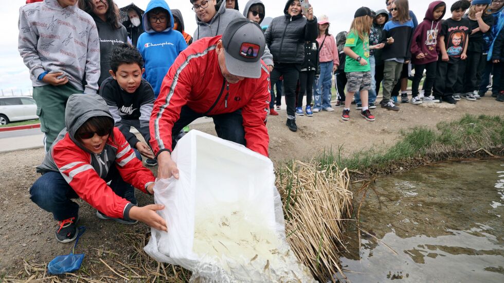 Photo of the day: Students raise, release ‘school’ of fish – Online ...