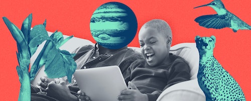 176 Trivia Questions for Kids and Adults That Will Make You Think ...